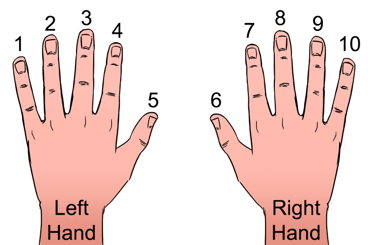 The 9 Times Table Can Be Done On Your Hand Mammoth Memory